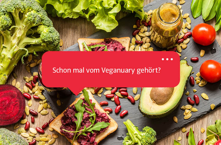 WEDL - BESTELLPORTAL - Katalog