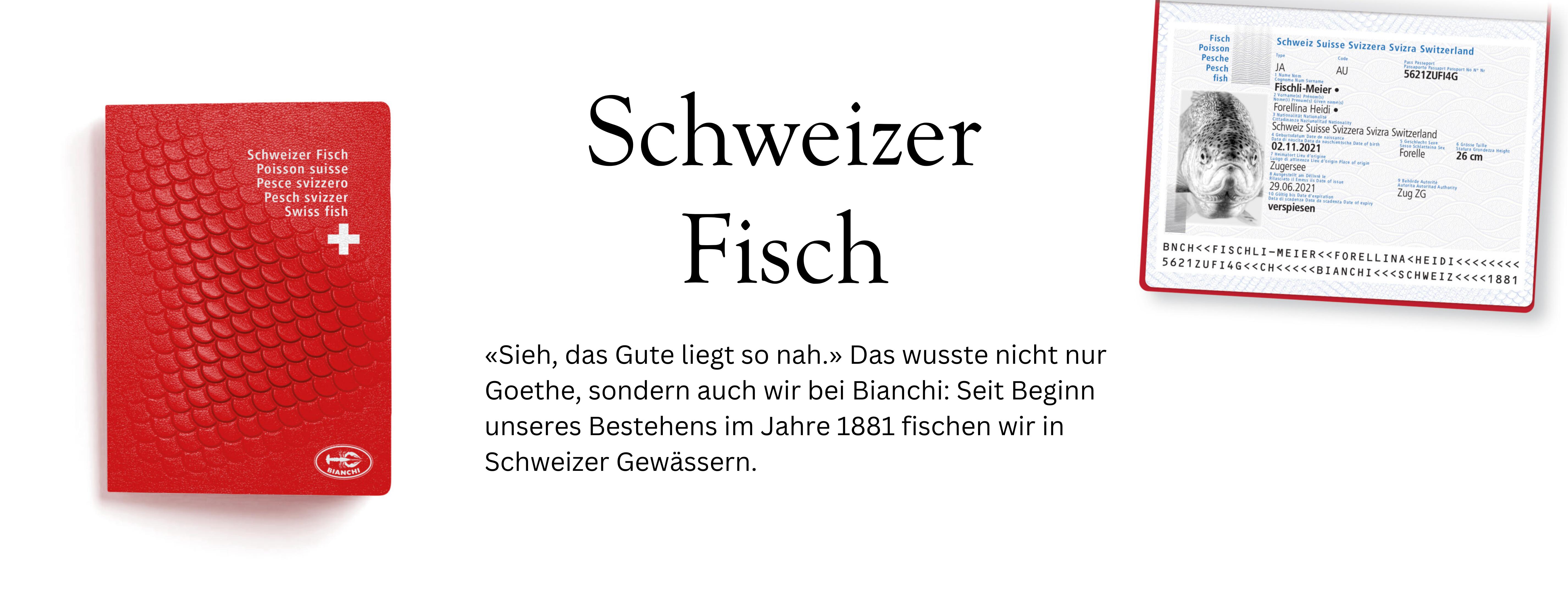 Bianchi - Unser Sortiment