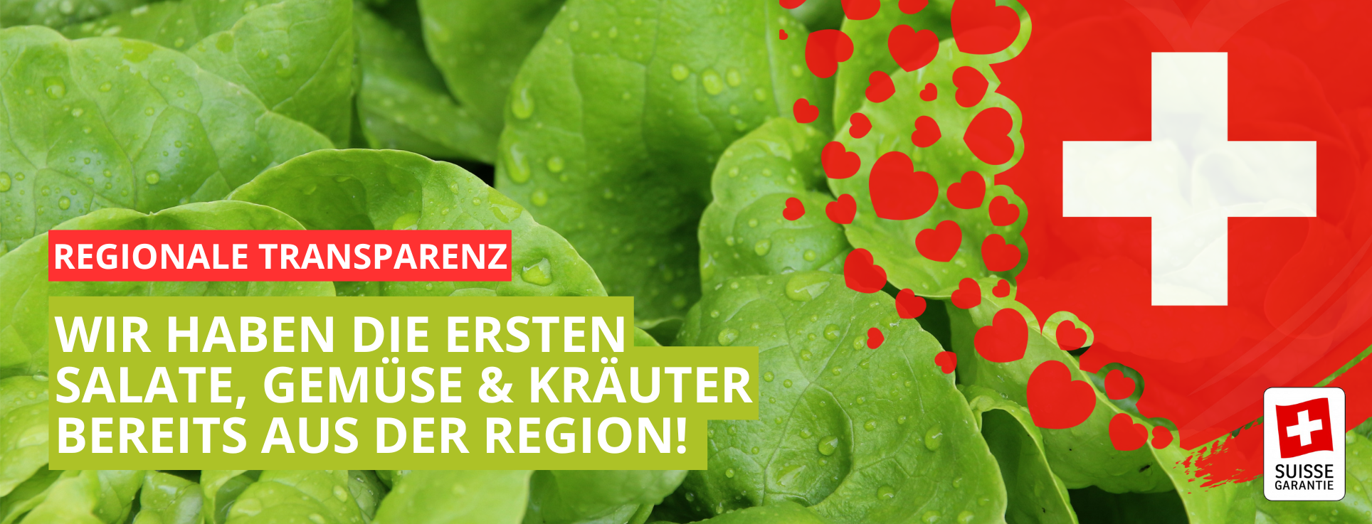 Reust Online-Shop - Katalog