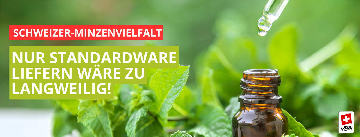 Reust Online-Shop - Katalog