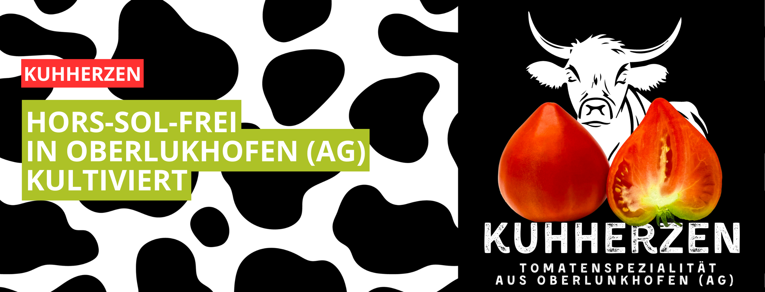 Reust Online-Shop - Katalog