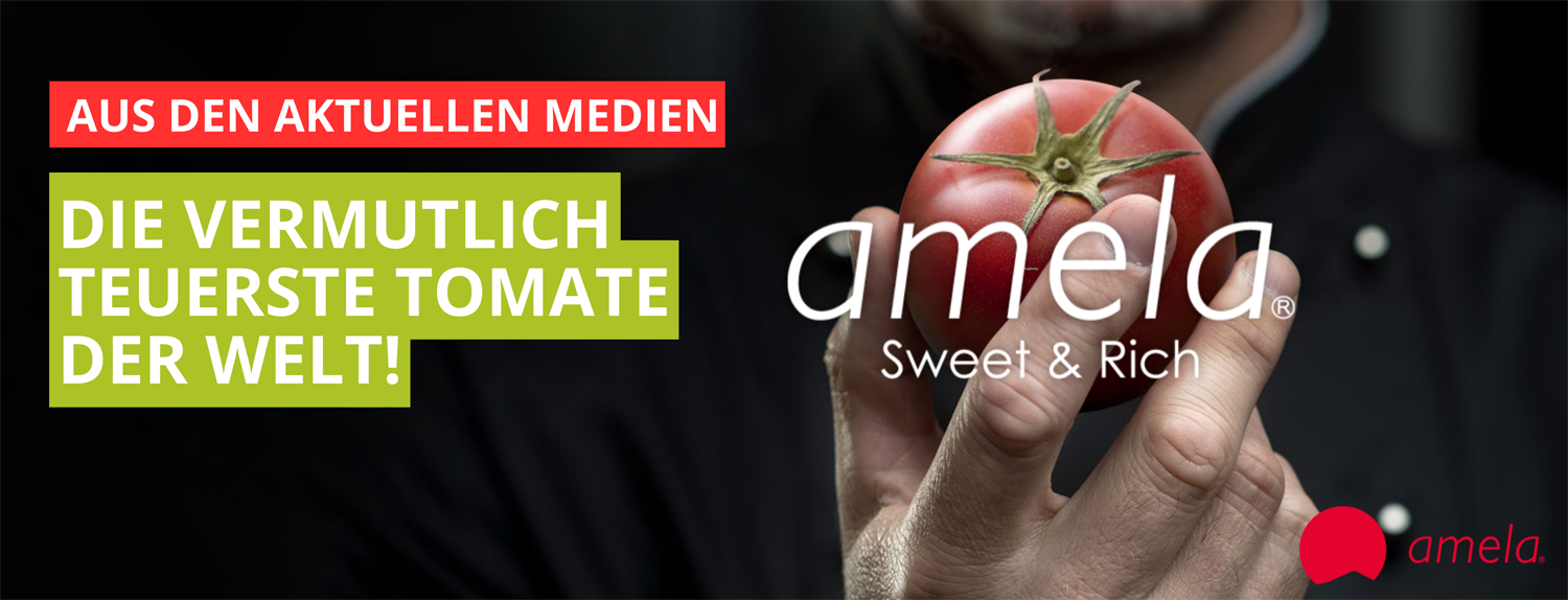 Reust Online-Shop - Katalog